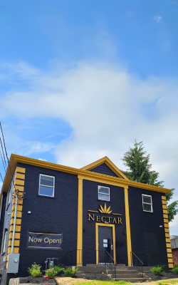 Cincinnati - Nectar Ohio